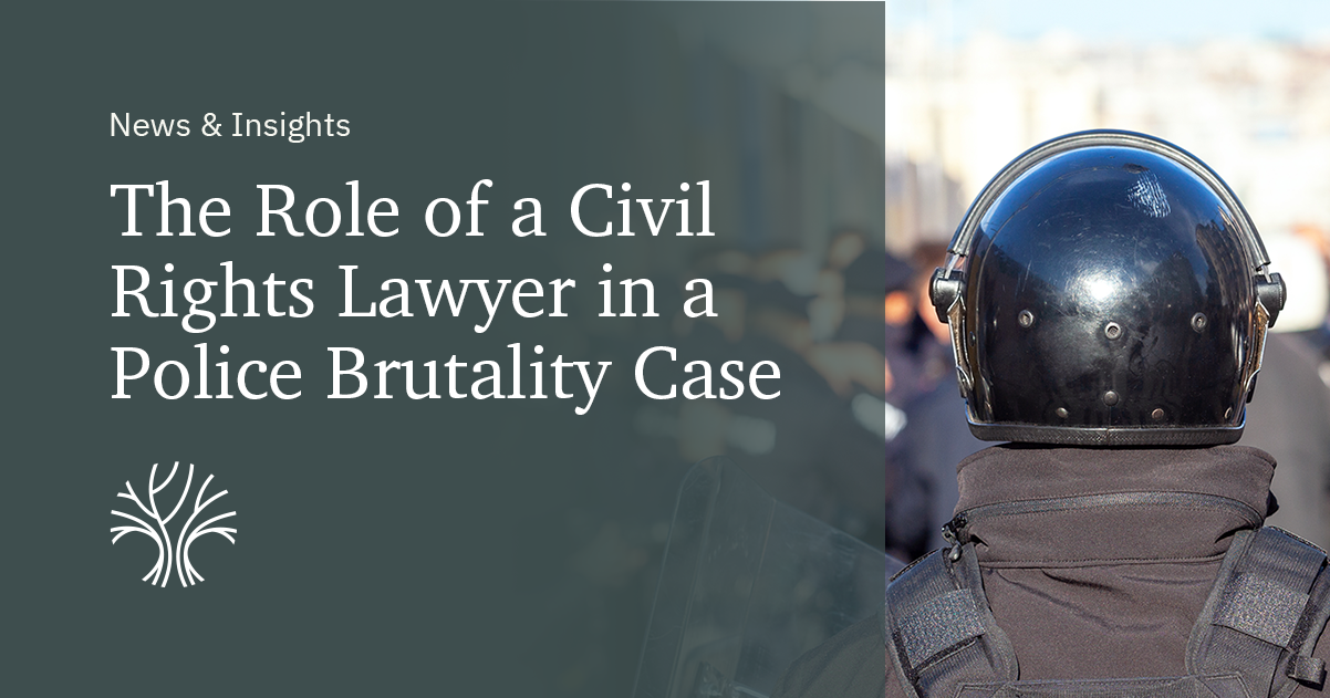 How a Lawyer Pursues a Police Brutality Claim